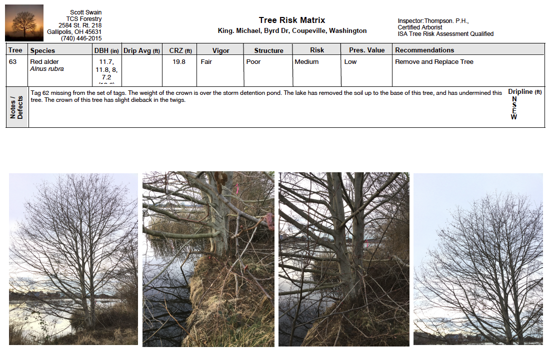 Tree Report From Tree Inventory App Instant Maps Tree Inventory Reports